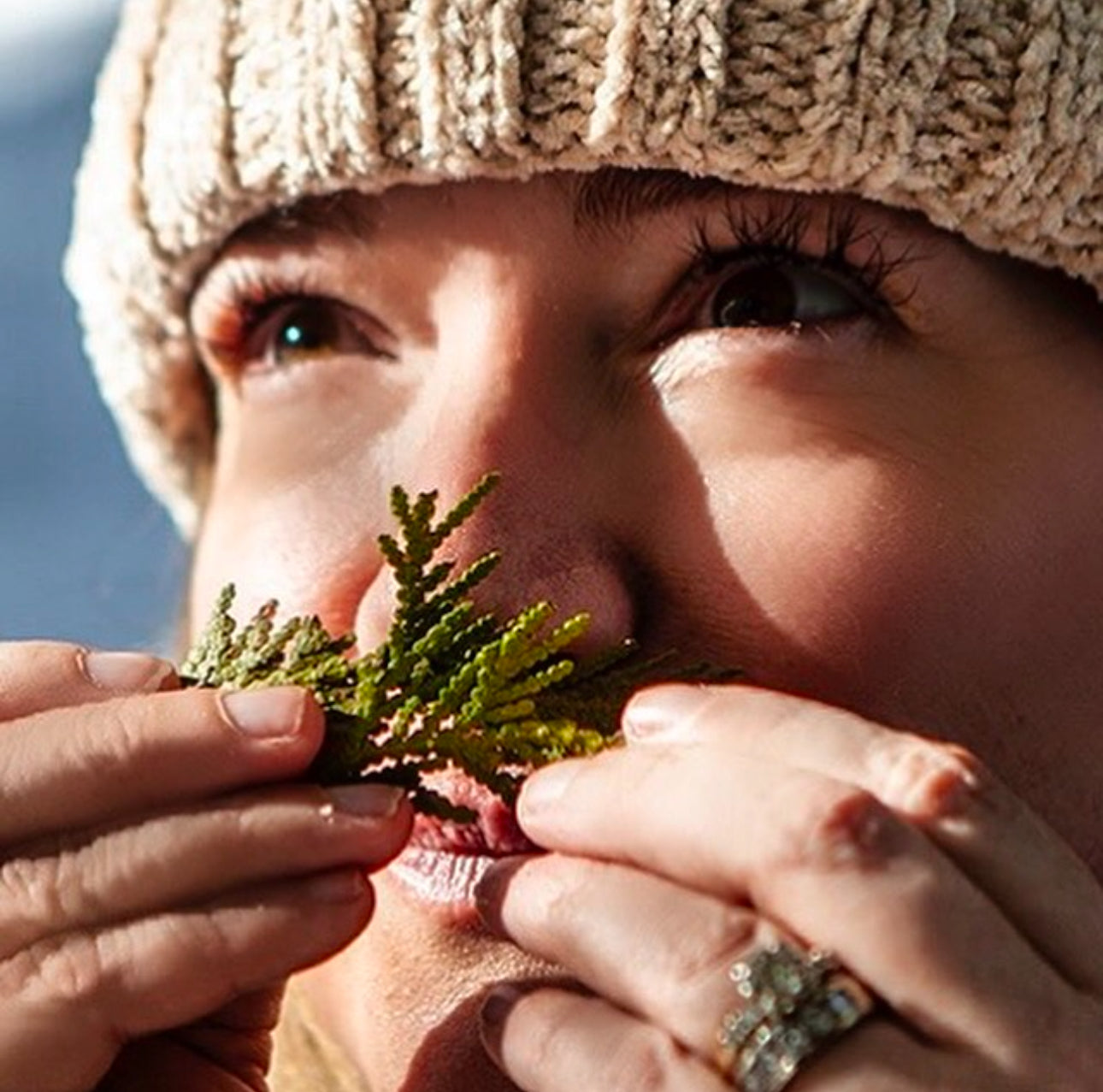 How to Find the Scent That Matches Your Mood – Pure Placid