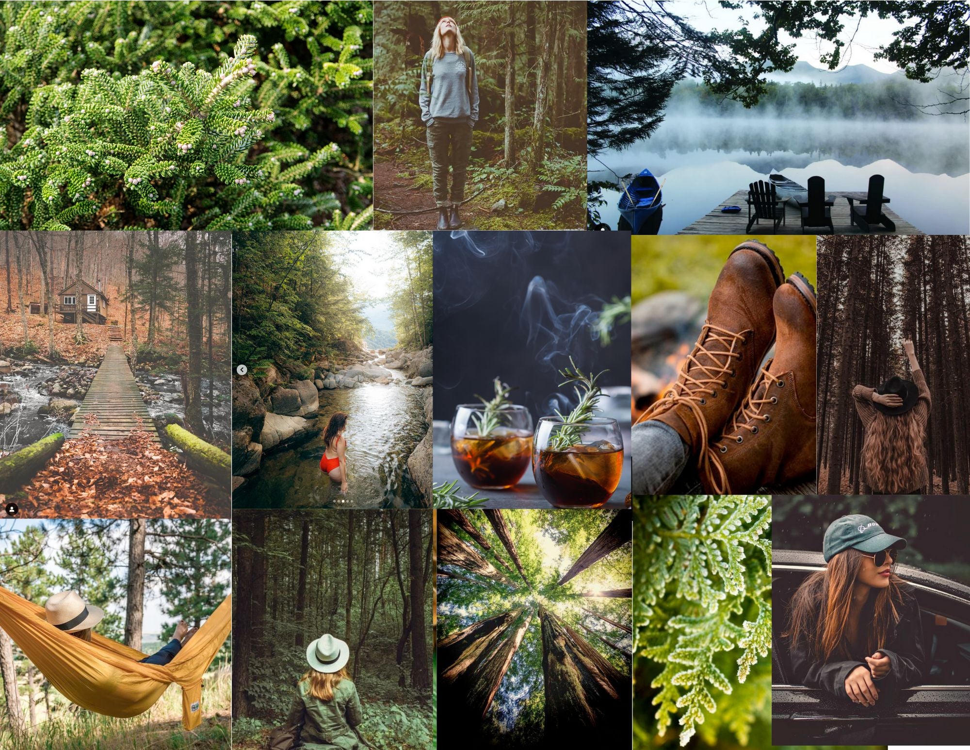 Balsam & Cedar Fragrance – Pure Placid